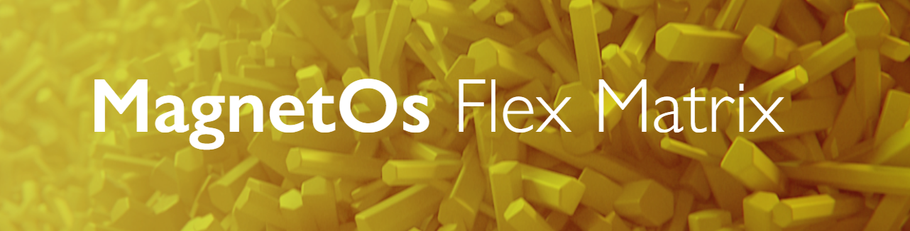 MagnetOs™ Flex Matrix - Kuros Biosciences